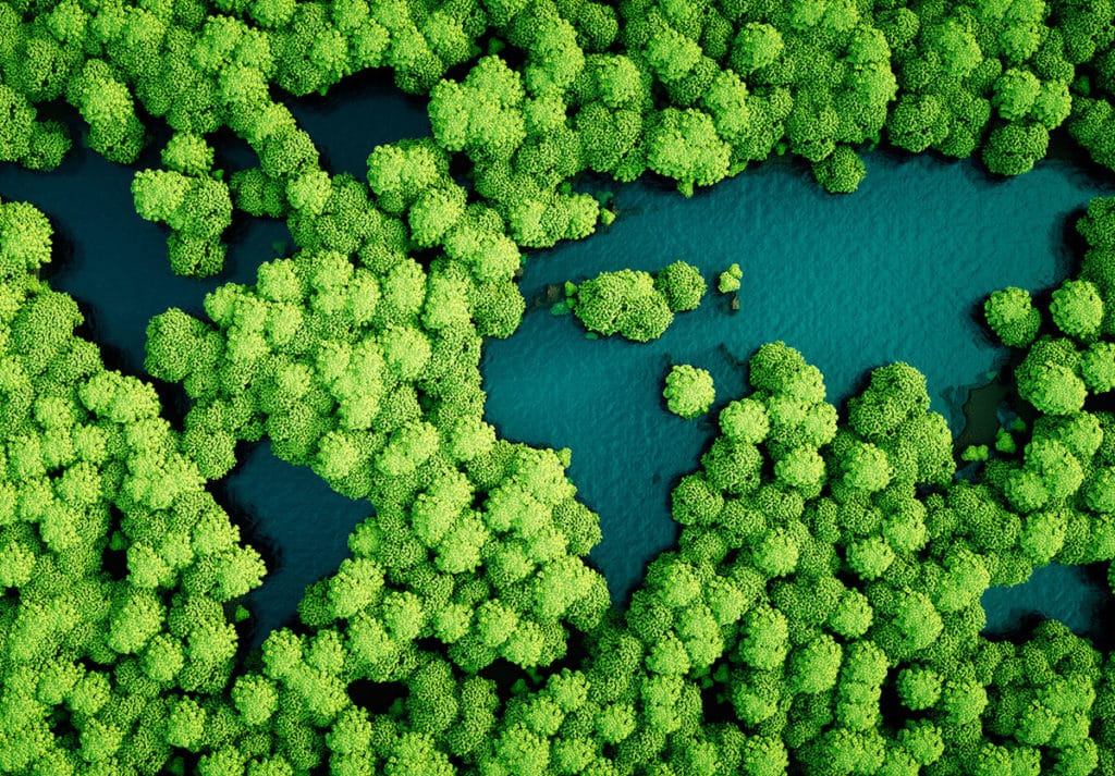 Renewable Biodegradable Fluid | U.S. Lubricants